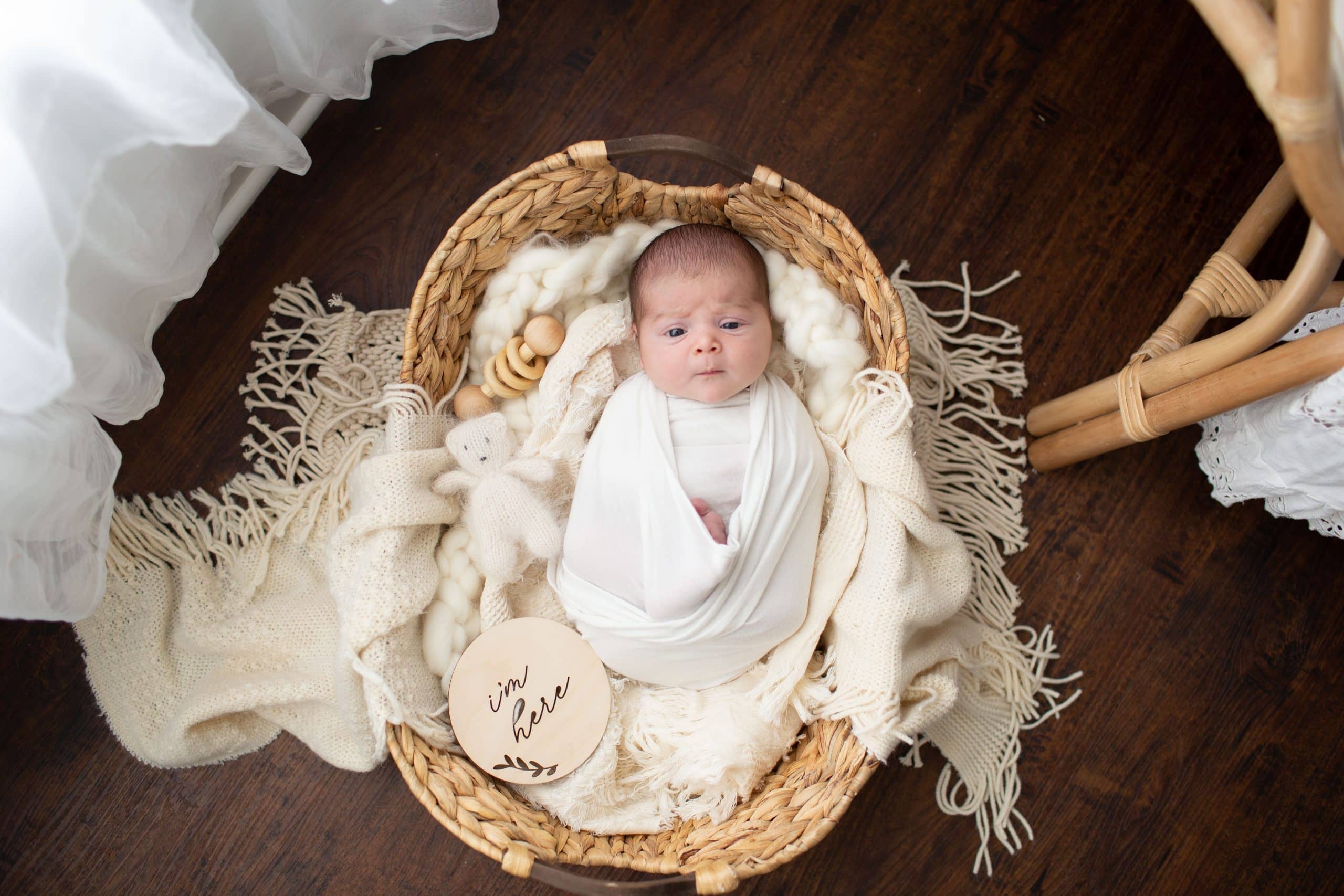 rocco5362 | Ally Kimpton Photography
